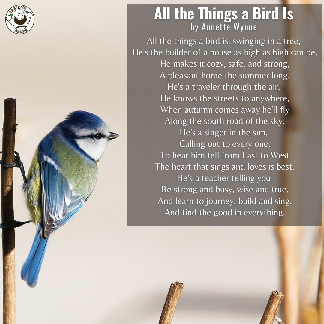 Bird Poems - All the Things a Bird Is – Grateful Gnome
