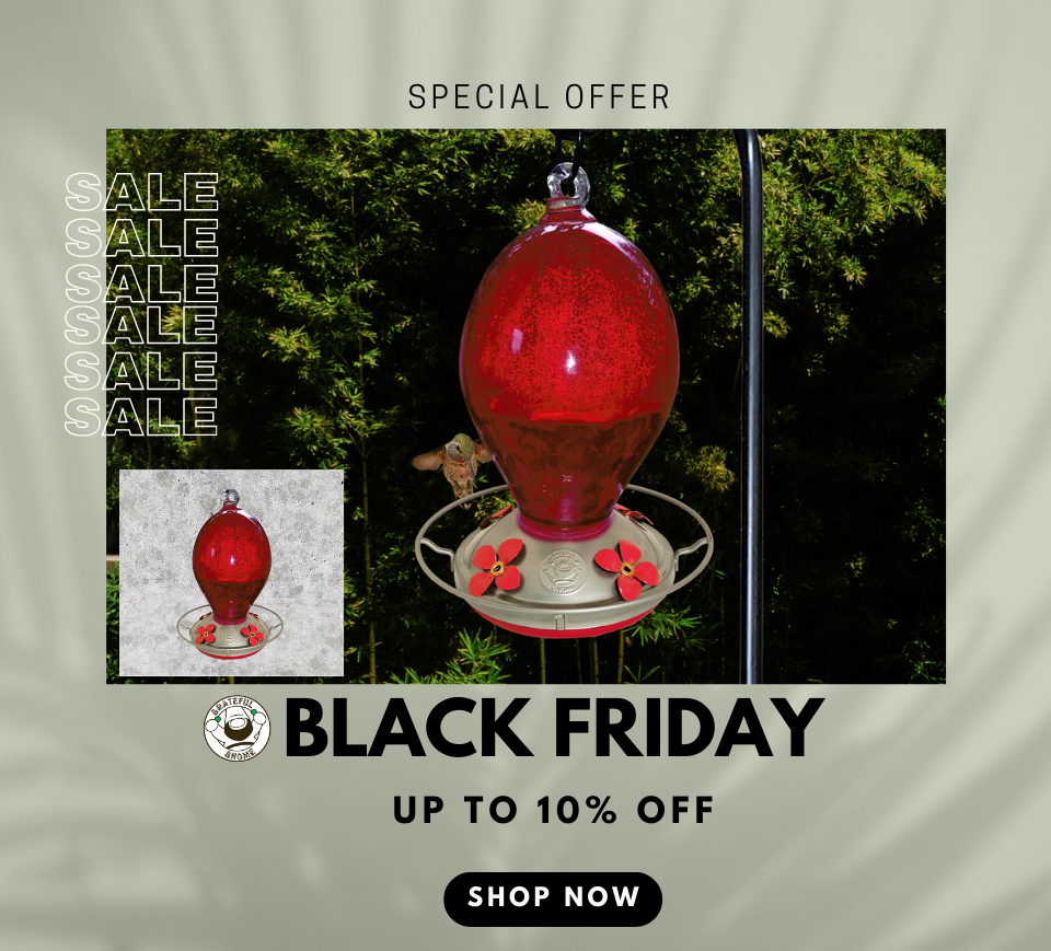 Black Friday 10% Off Deals – Grateful Gnome