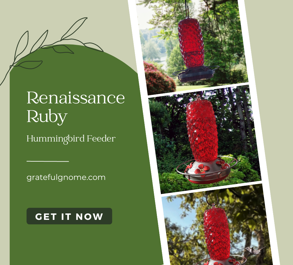 Renaissance Ruby Hummingbird Feeder – Grateful Gnome