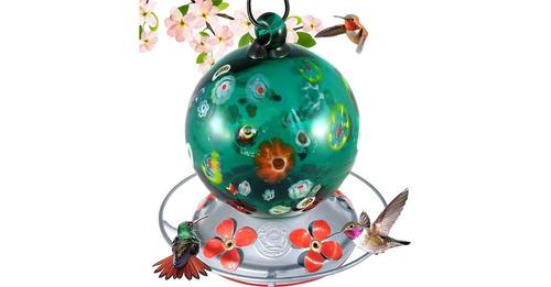 5 Star Review – Grateful Gnome