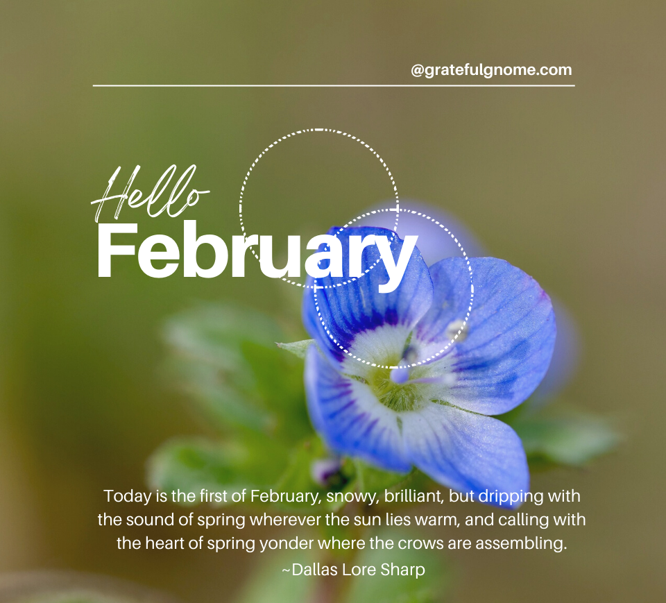 Hello February! – Grateful Gnome