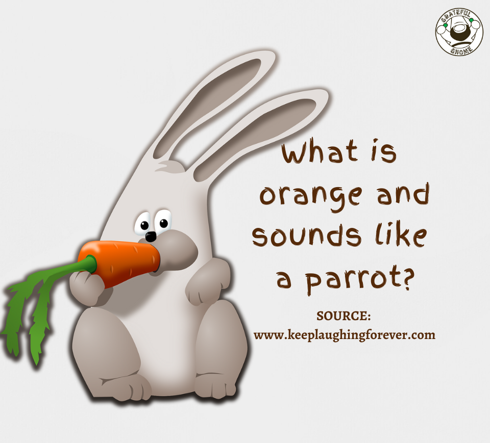 Riddle Time – Grateful Gnome