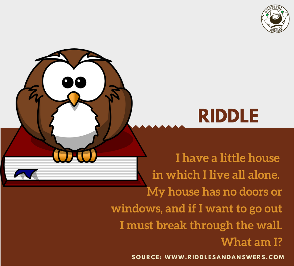 Riddle Time – Grateful Gnome