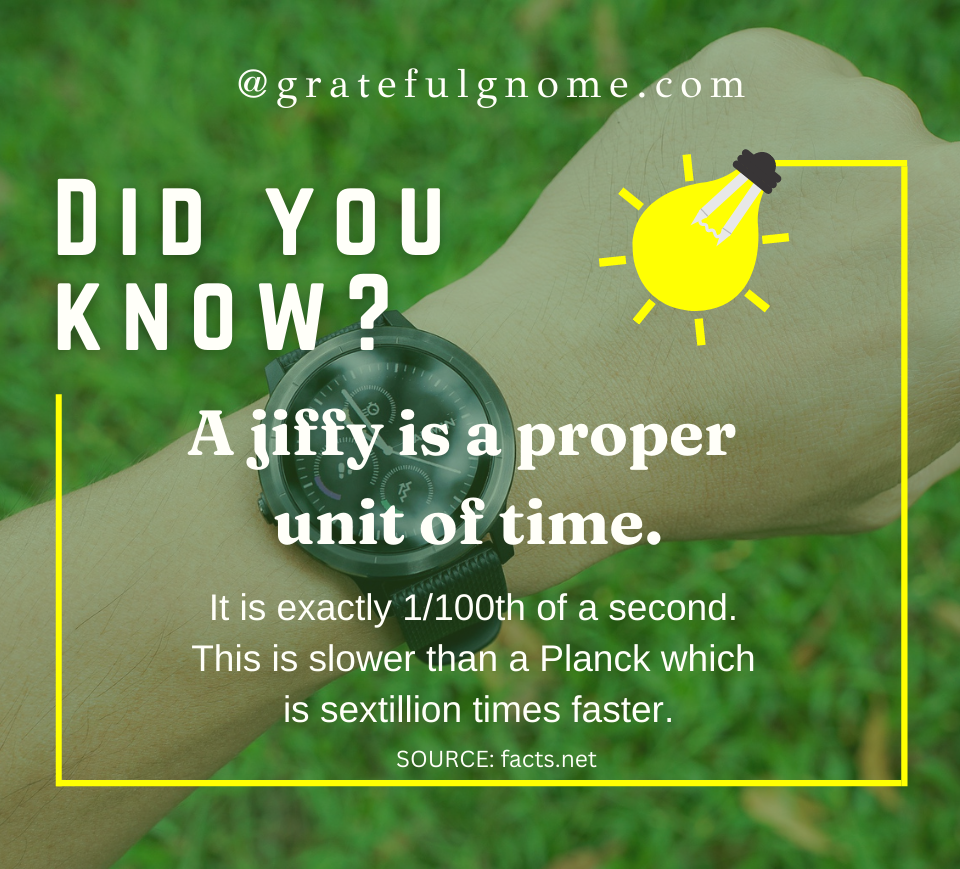 Fun Fact – Grateful Gnome