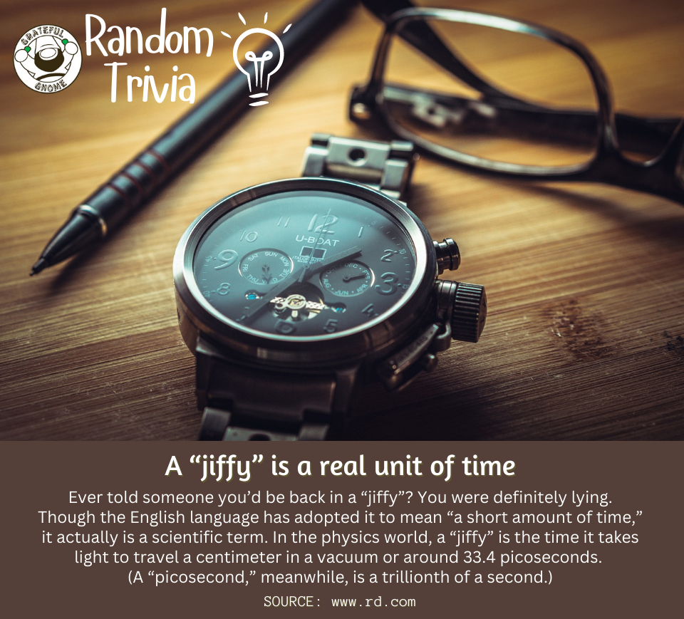 Random Trivia – Grateful Gnome