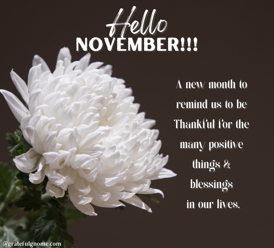 Hello November! – Grateful Gnome