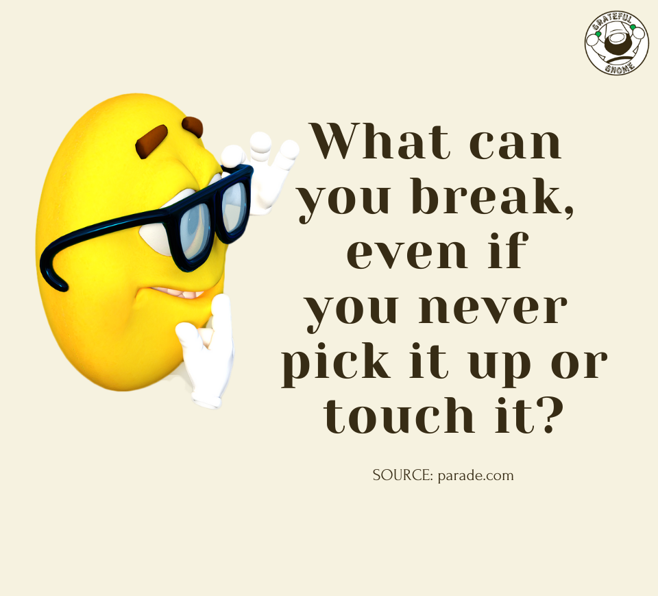 Riddle Time – Grateful Gnome