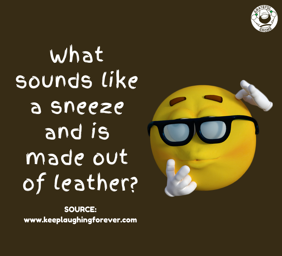 Riddle Time – Grateful Gnome