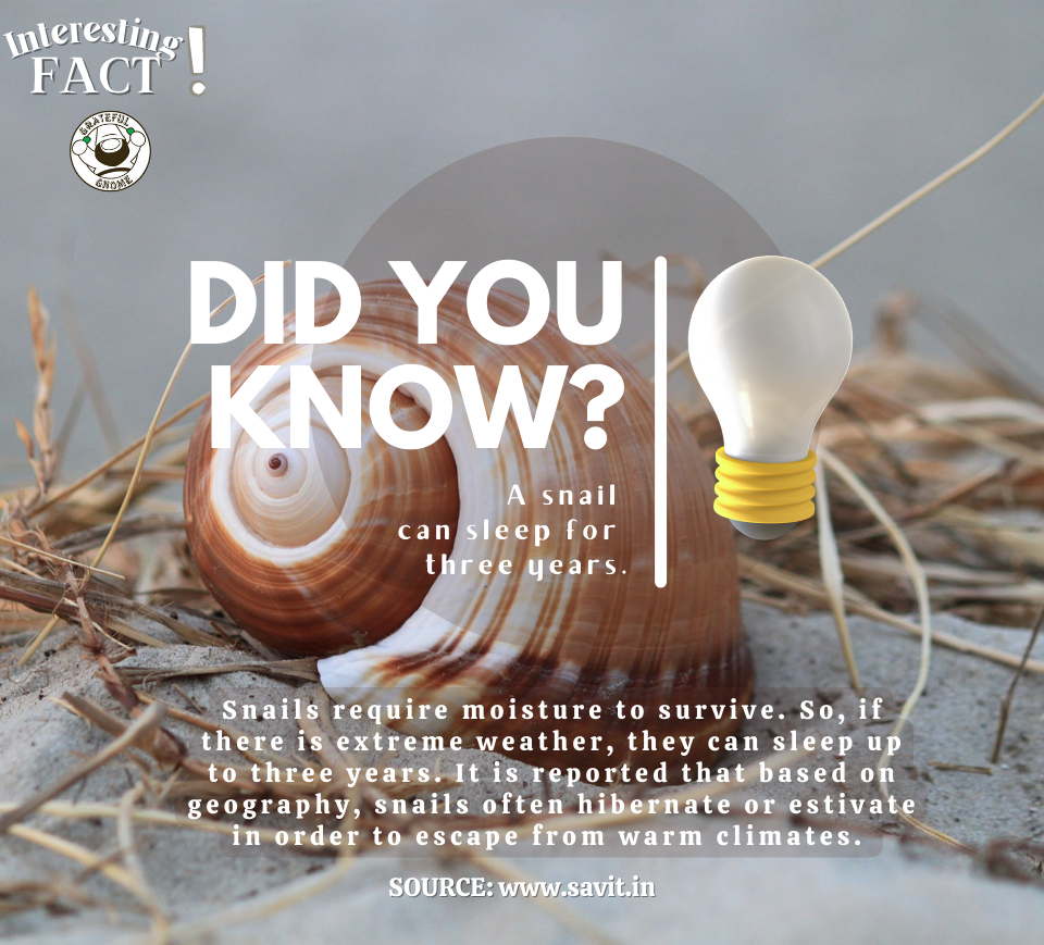 Interesting Fact – Grateful Gnome