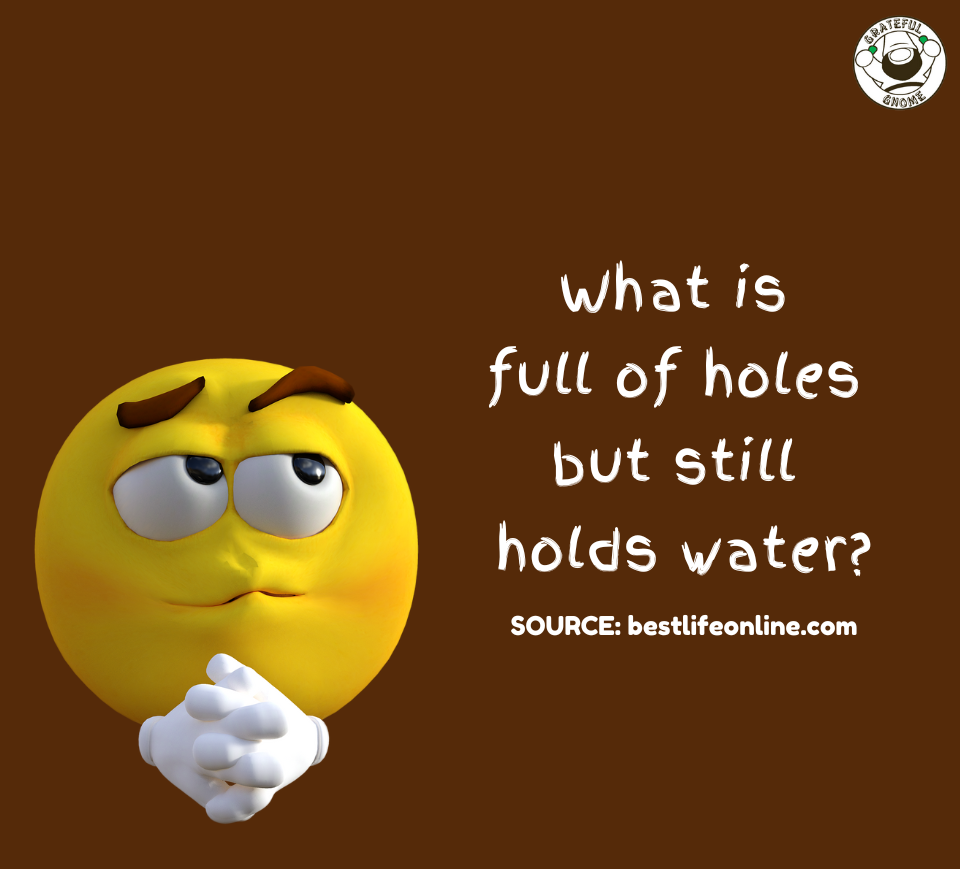 Riddle Time – Grateful Gnome