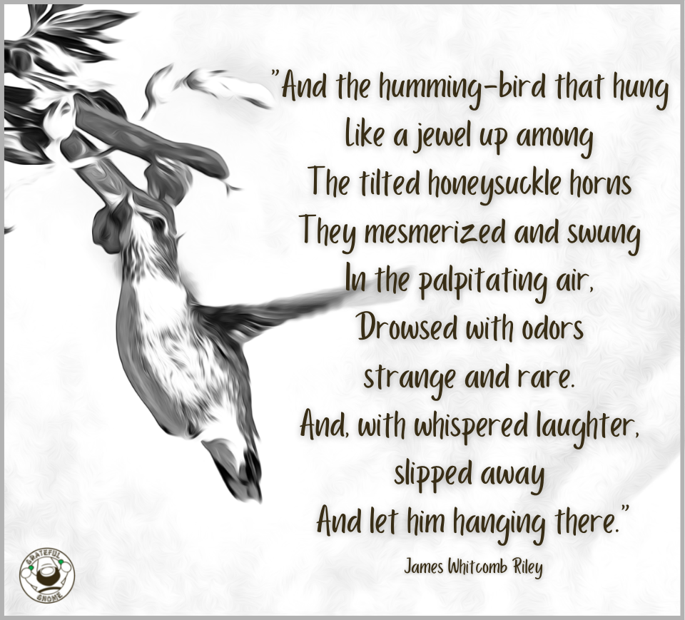 Hummingbird Poetry – Grateful Gnome