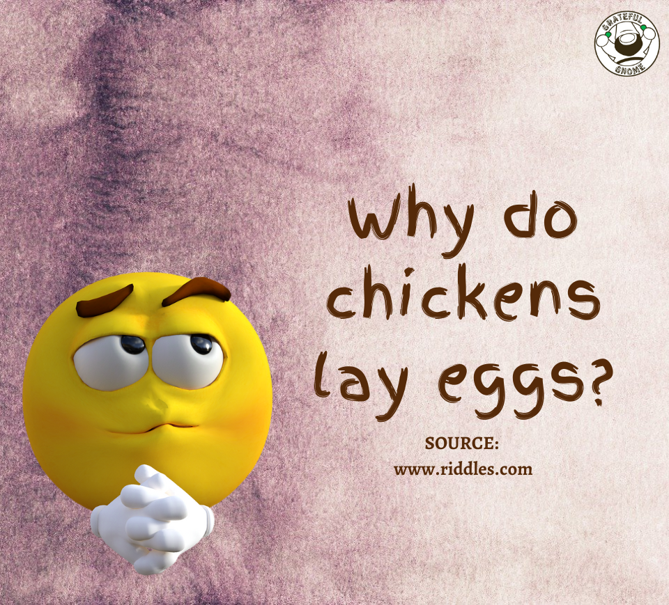 Riddle Time – Grateful Gnome