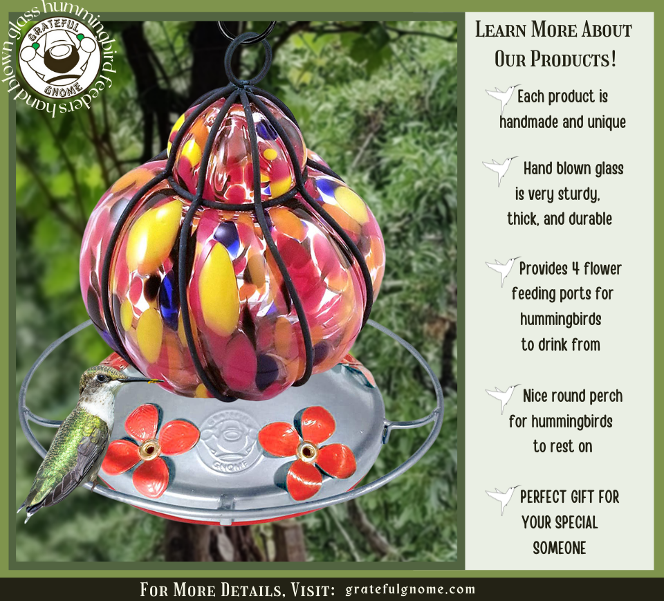 Featured Product of the Day – Grateful Gnome