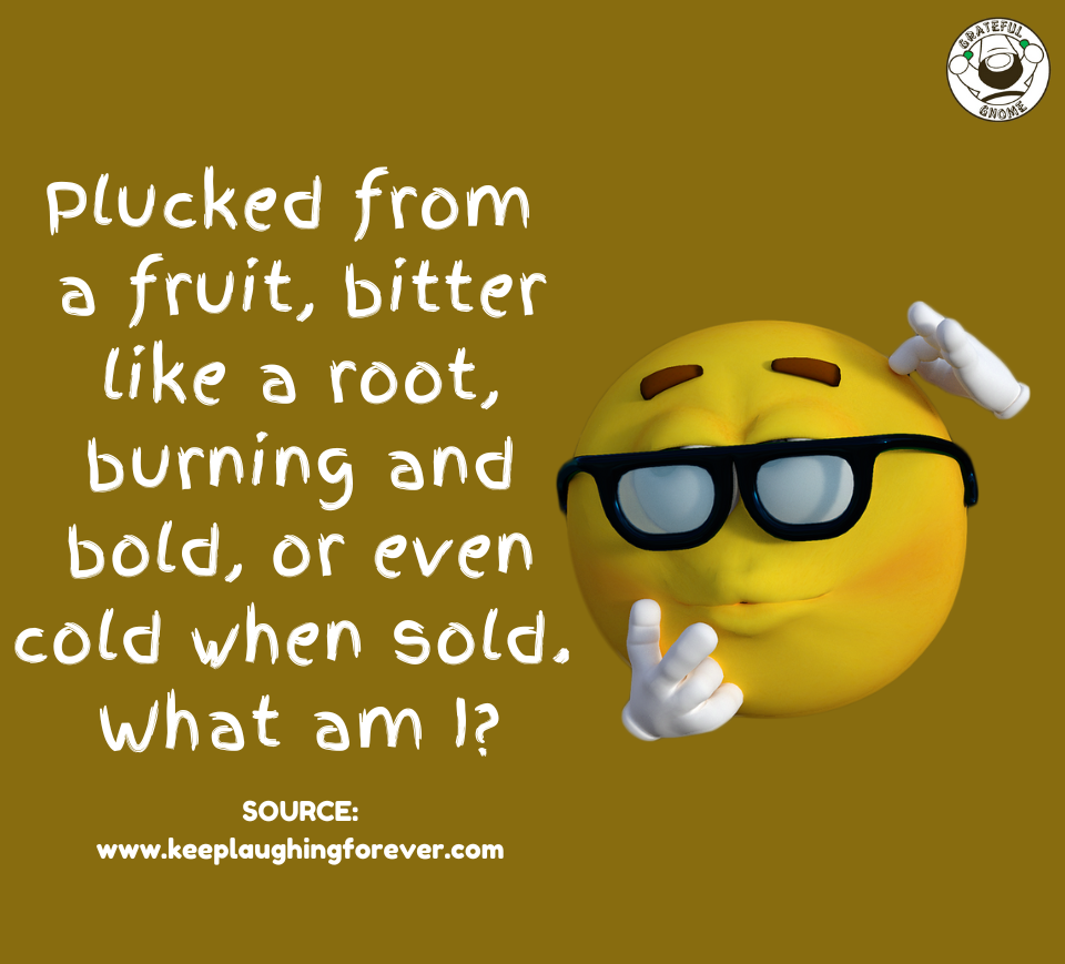 Riddle Time – Grateful Gnome