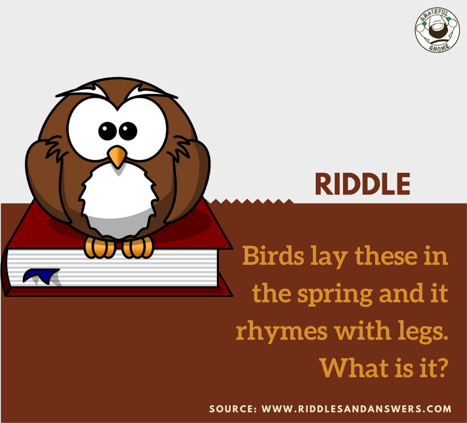 Riddle Time – Grateful Gnome