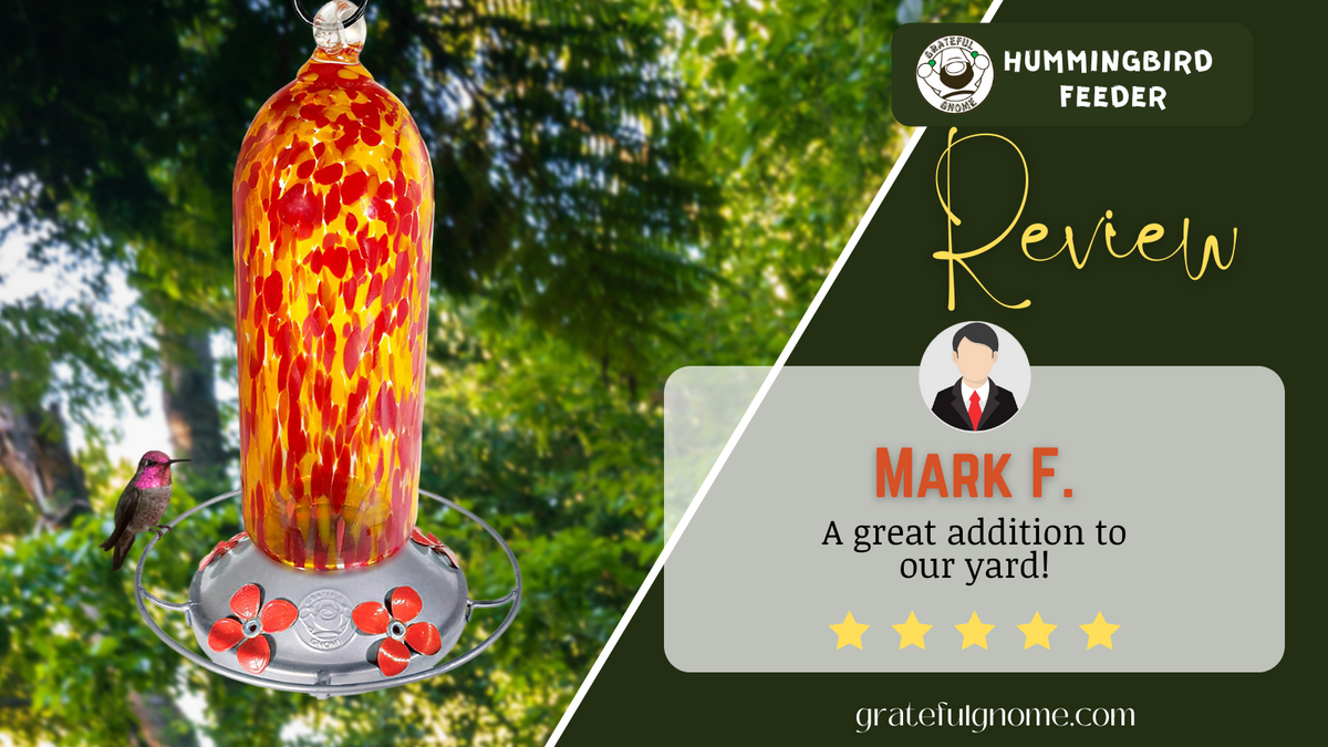 5 Star Review - Fiery Bell Tower Hummingbird Feeder – Grateful Gnome