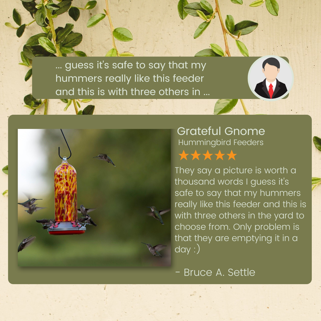 5 Star Hummingbird Feeder Review – Grateful Gnome