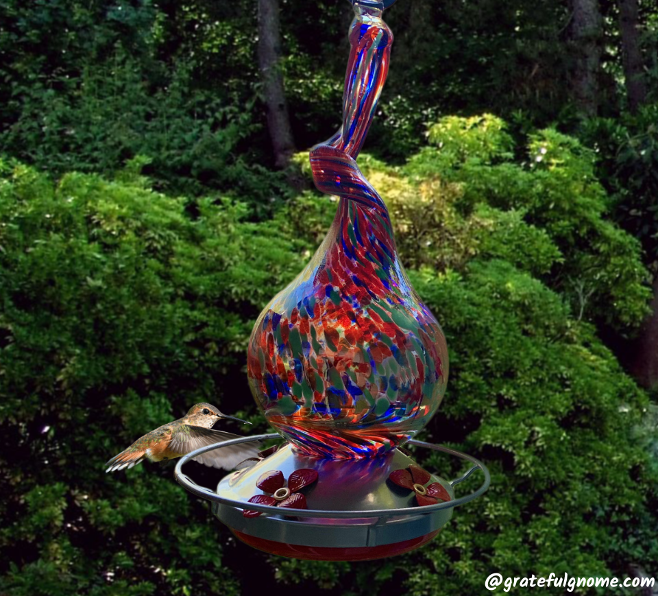 Featured Product of the Week – Grateful Gnome