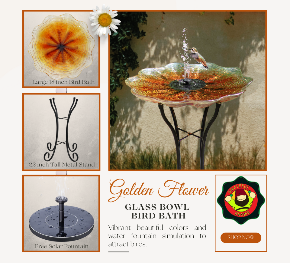 Featured Product of the Week – Grateful Gnome