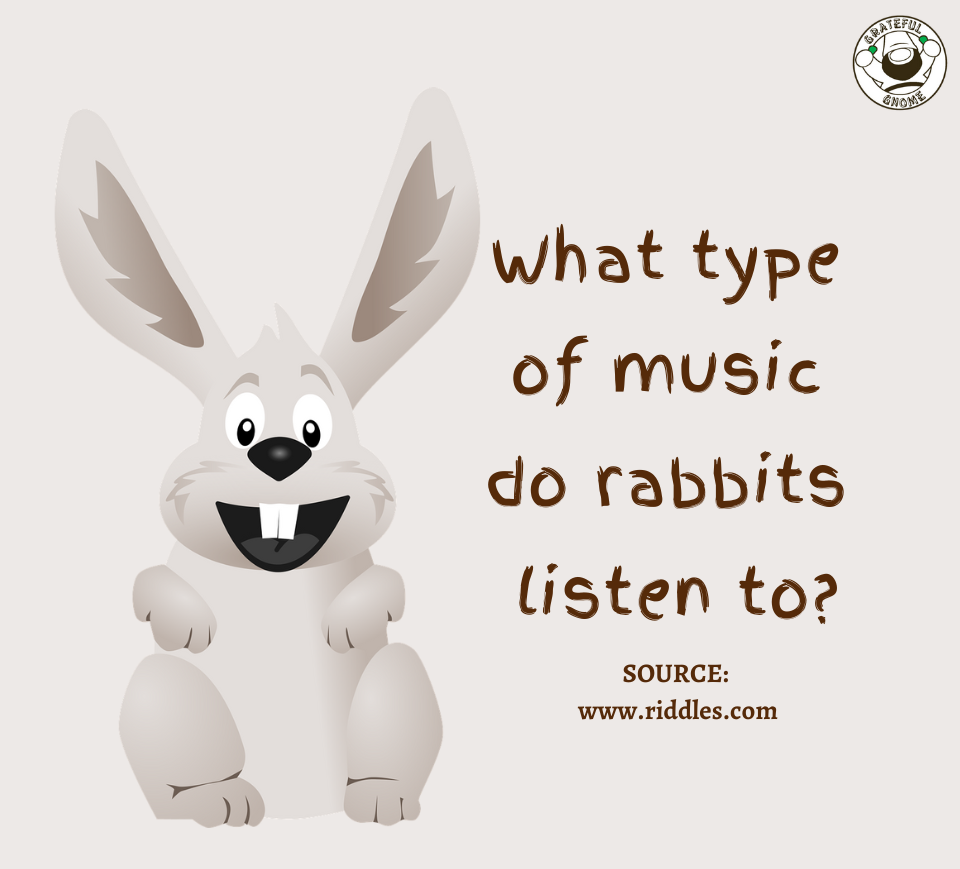 Riddle Time – Grateful Gnome