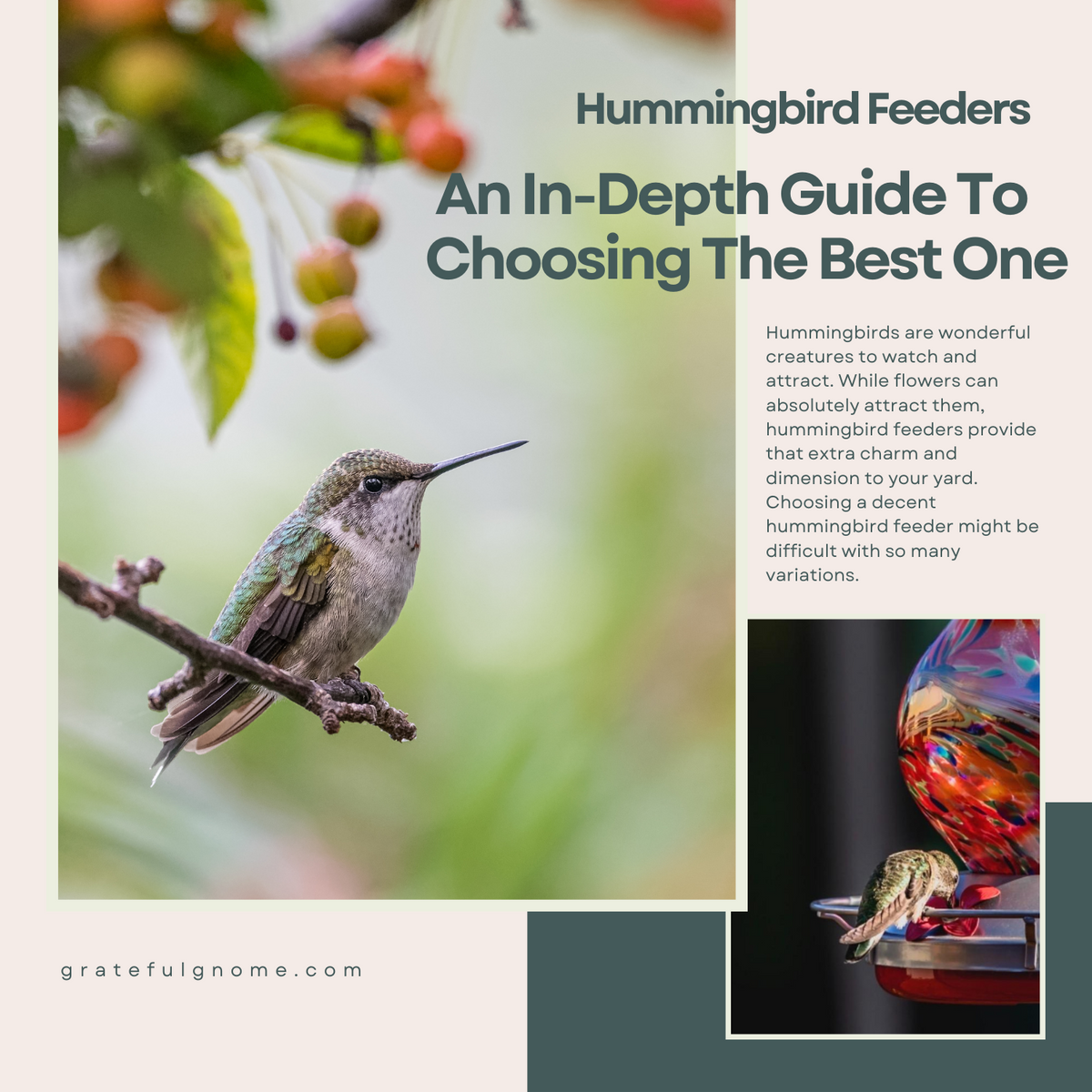 Hummingbird Feeders: An In-Depth Guide To Choosing The Best One ...