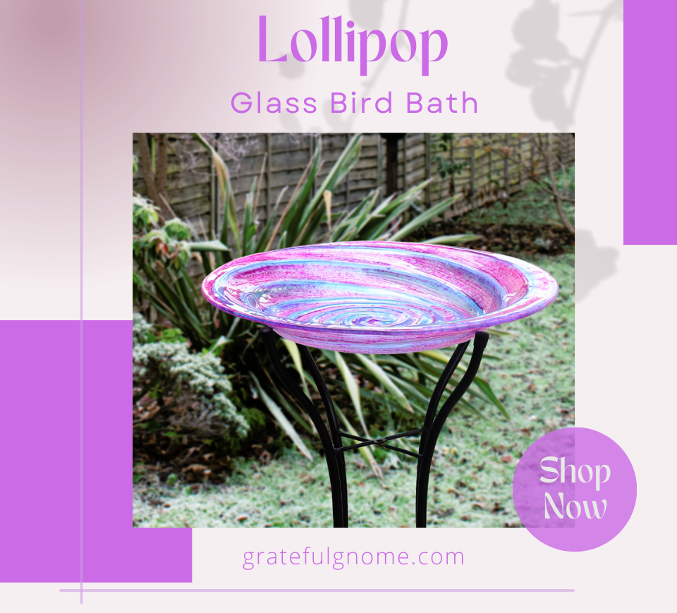 Lollipop Bird Bath with Stand and Solar Fountain – Grateful Gnome