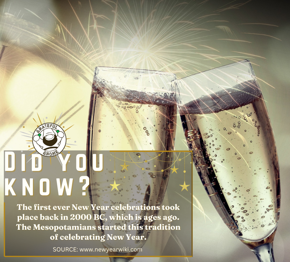 Interesting Fact – Grateful Gnome