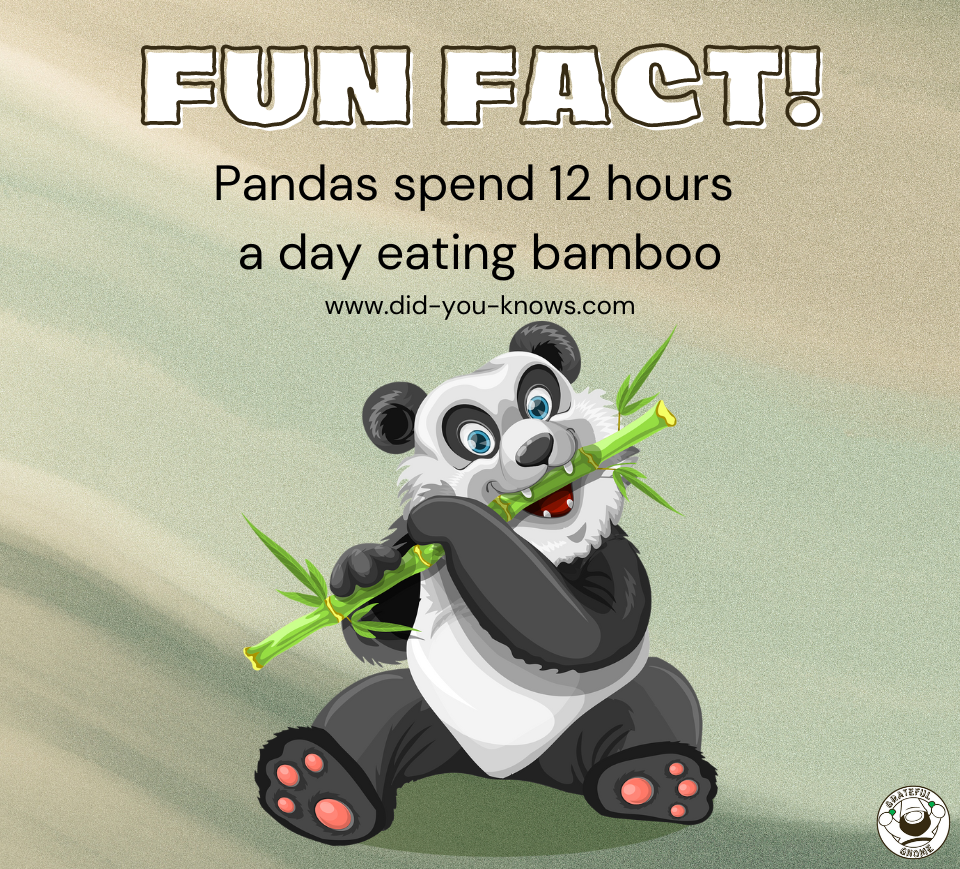 Fun Fact – Grateful Gnome