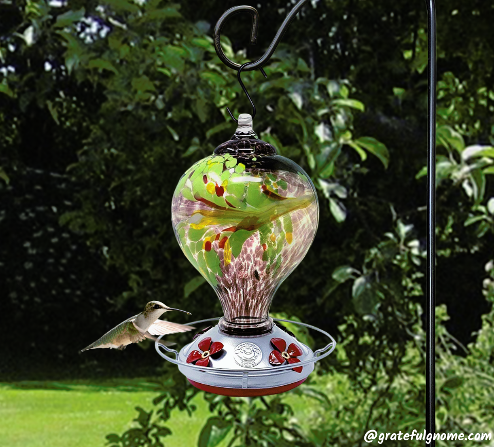 Beautiful and Unique Hummingbird Feeder – Grateful Gnome