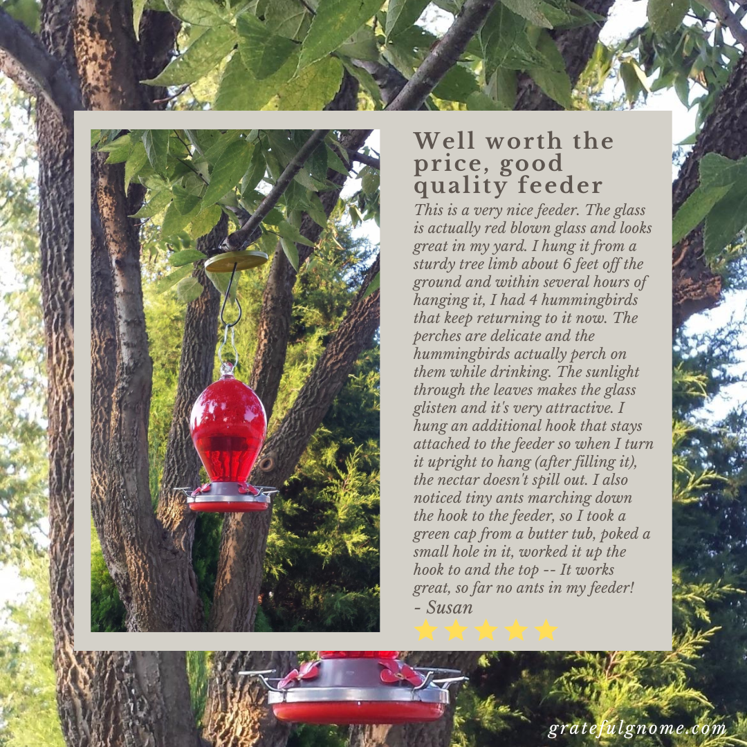 5 Star Review – Grateful Gnome