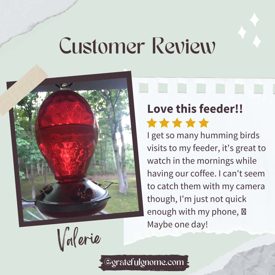 5 Star Review – Grateful Gnome