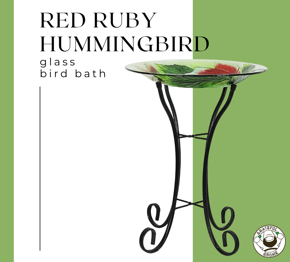 Red Ruby Hummingbird Glass Bird Bath – Grateful Gnome