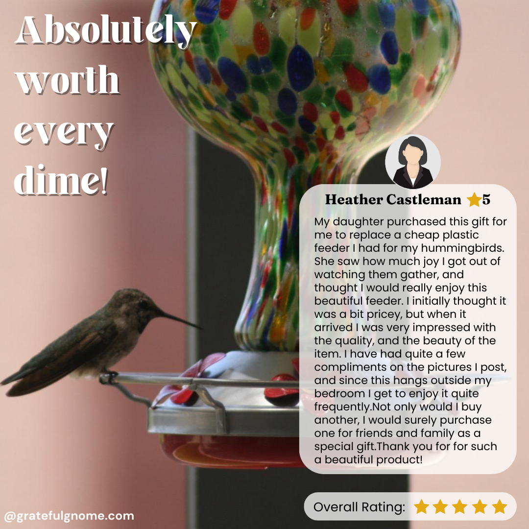 5 Star Hummingbird Feeder Review – Grateful Gnome
