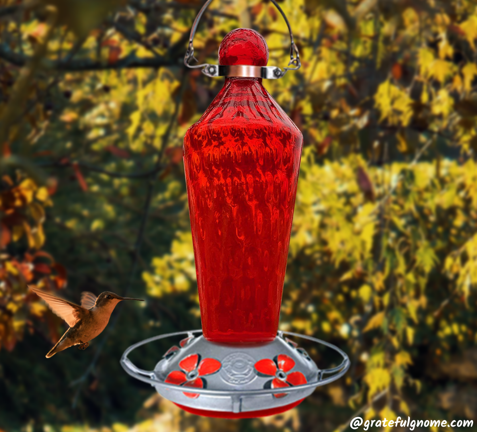 Attract Hummingbirds With A Hummingbird Feeder – Grateful Gnome