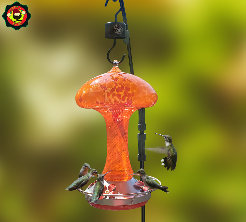 Beautiful and Unique Blown Glass Hummingbird Feeder – Grateful Gnome