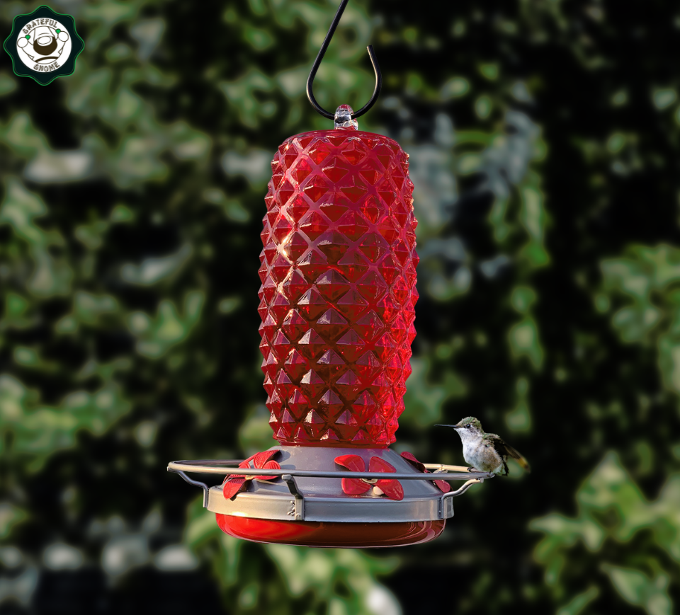 Featured Product of the Day – Grateful Gnome