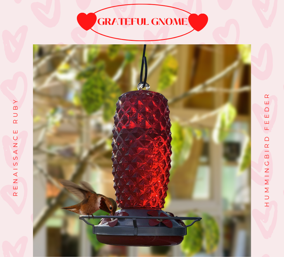 Beautiful and Unique Hummingbird Feeder – Grateful Gnome