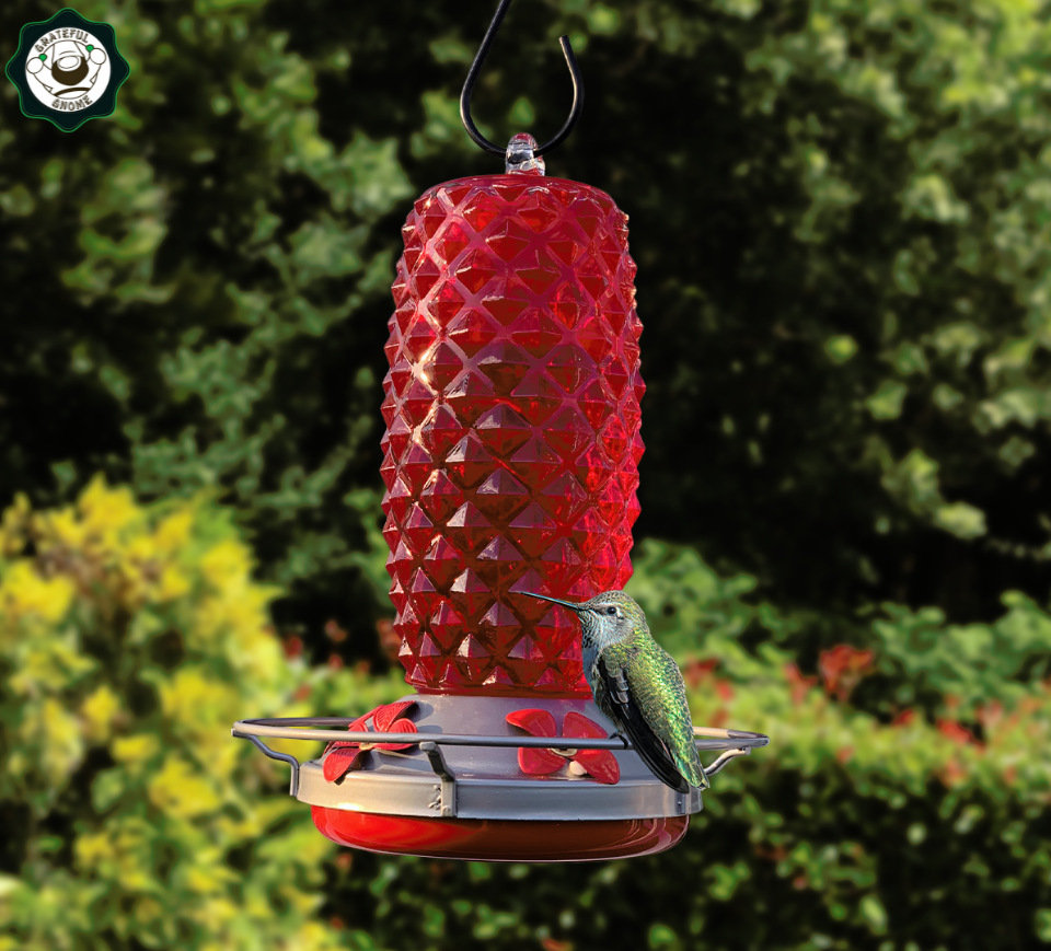 Attract Hummingbirds with a Beautiful and Unique Hummingbird Feeder ...