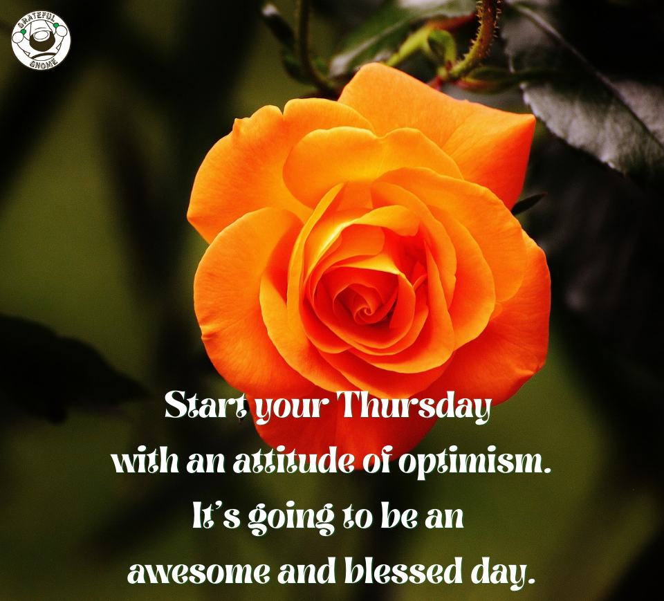 Quote of the Day – Grateful Gnome