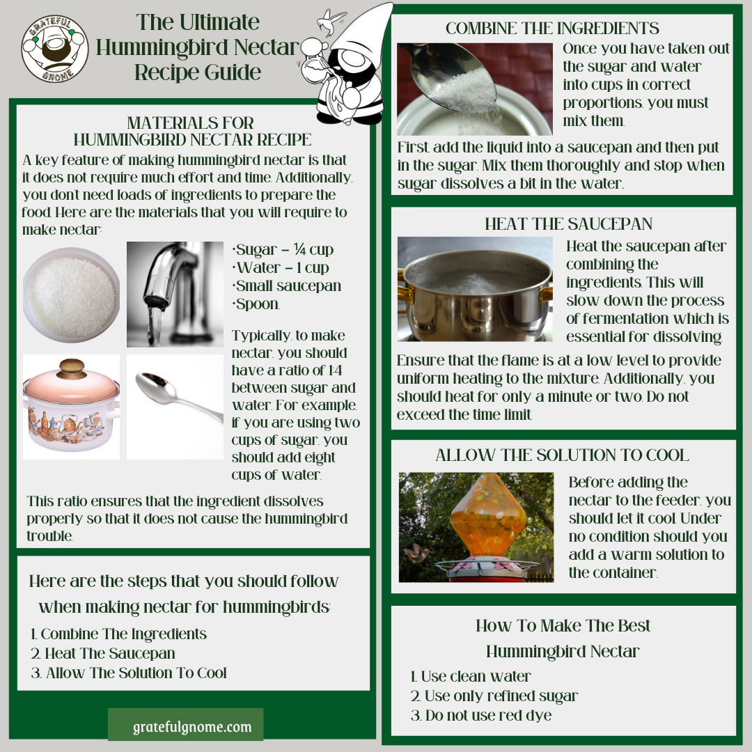 The Ultimate Hummingbird Nectar Recipe Guide – Grateful Gnome