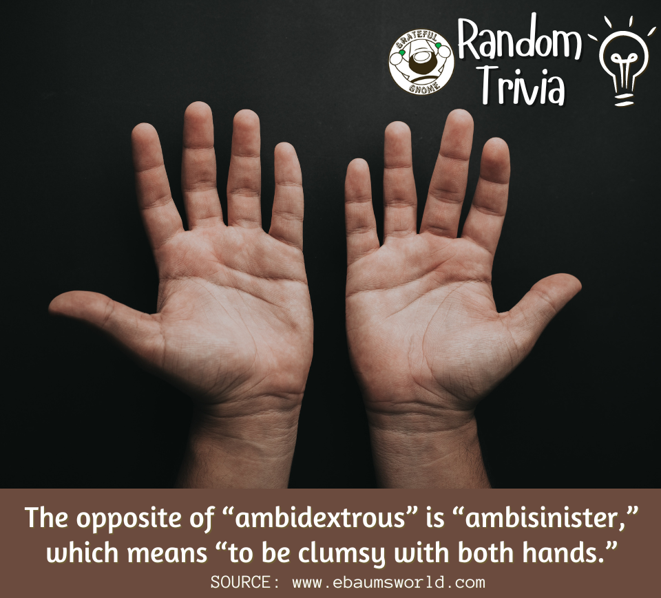 Random Trivia – Grateful Gnome