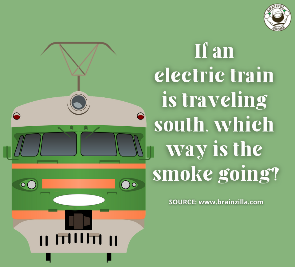 Riddles - Brain Teasers – Grateful Gnome