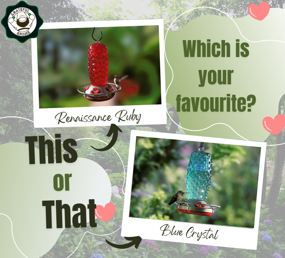 This or That? – Grateful Gnome