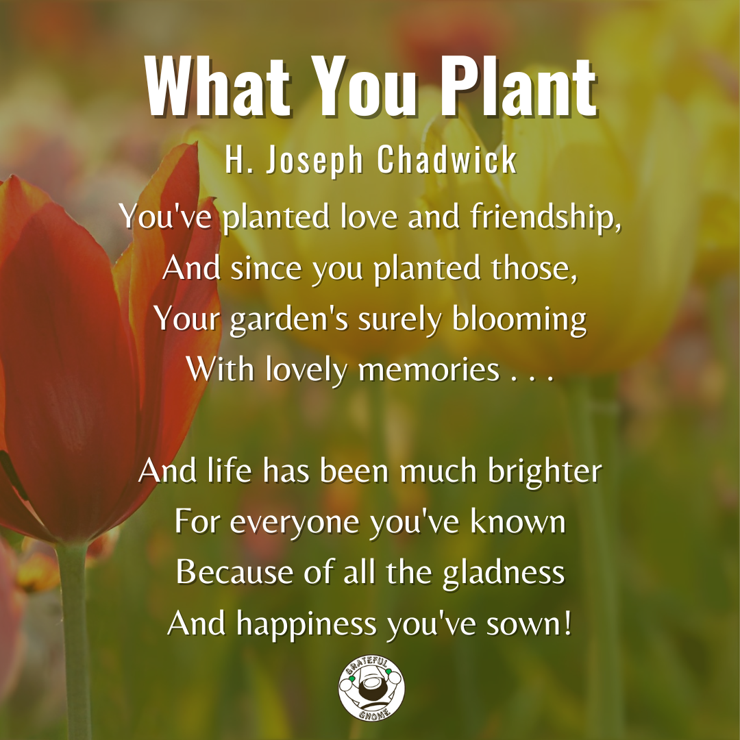 Inspirational Poems - What You Plant – Grateful Gnome