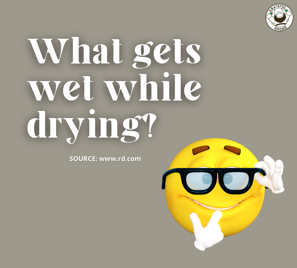 Riddles - Brain Teasers – Grateful Gnome