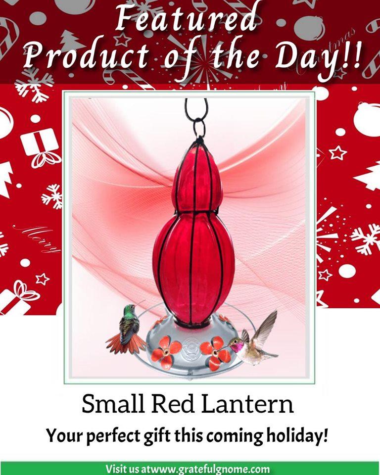 Featured Product of the Day – Grateful Gnome