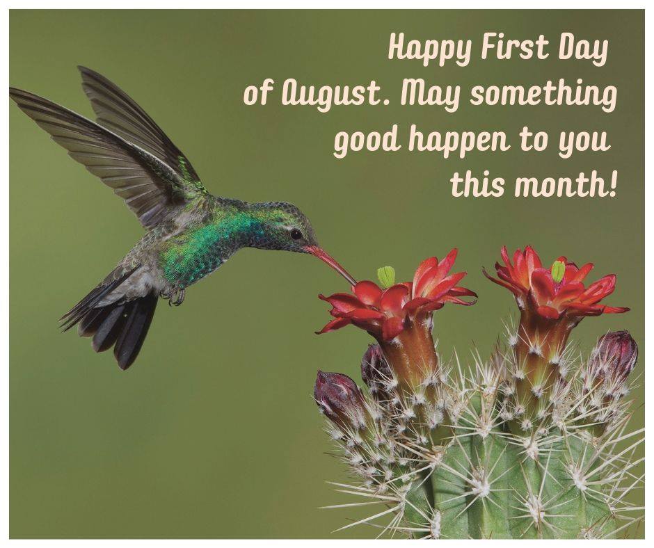 Happy First Day of August – Grateful Gnome
