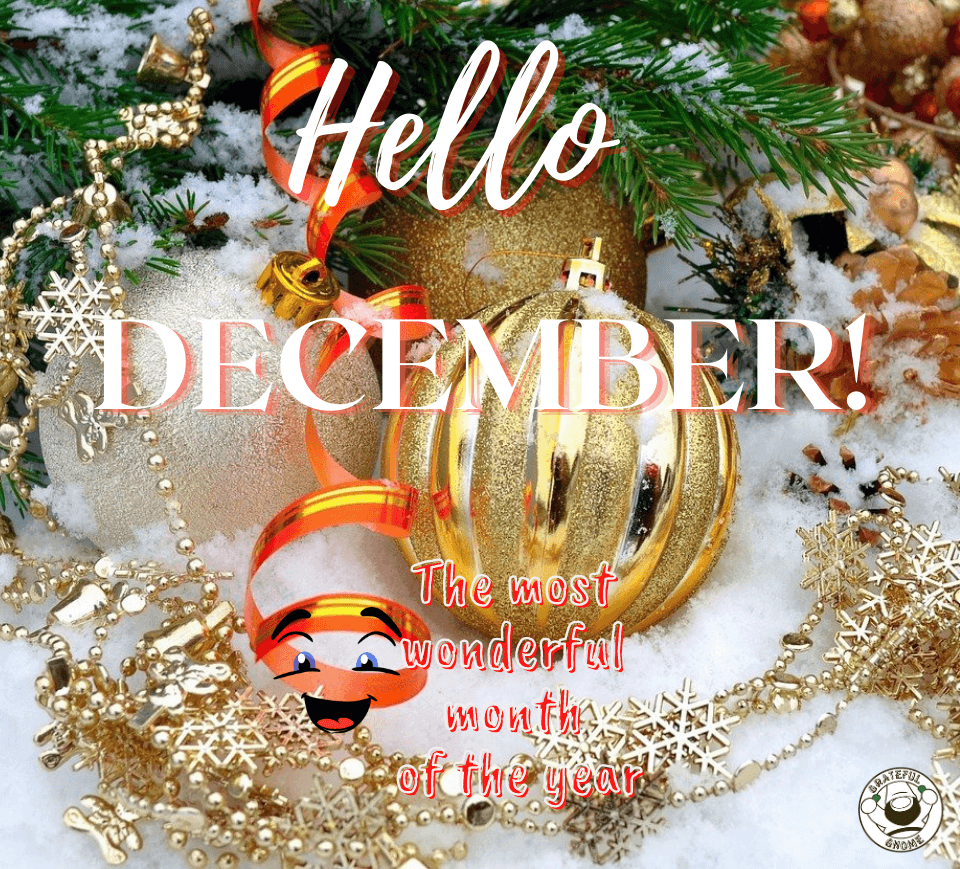 Hello December – Grateful Gnome