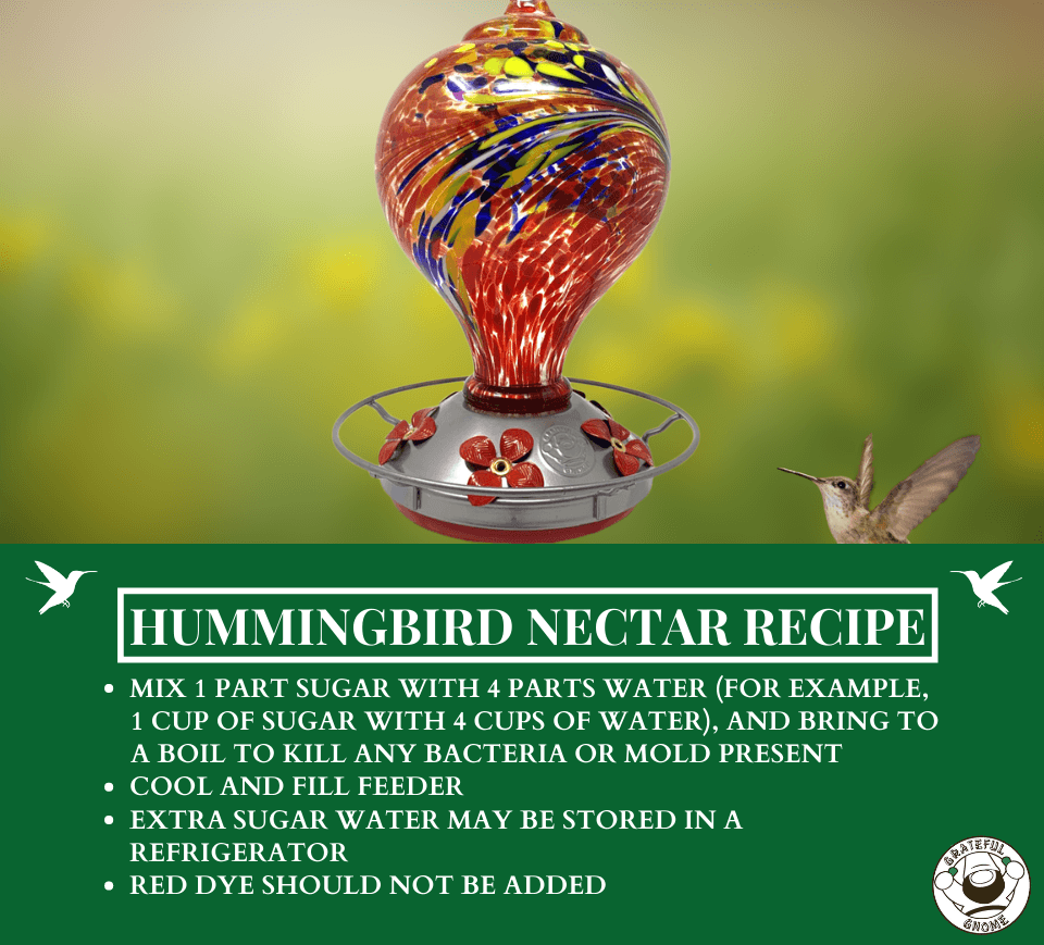 Hummingbird Nectar Recipe – Grateful Gnome