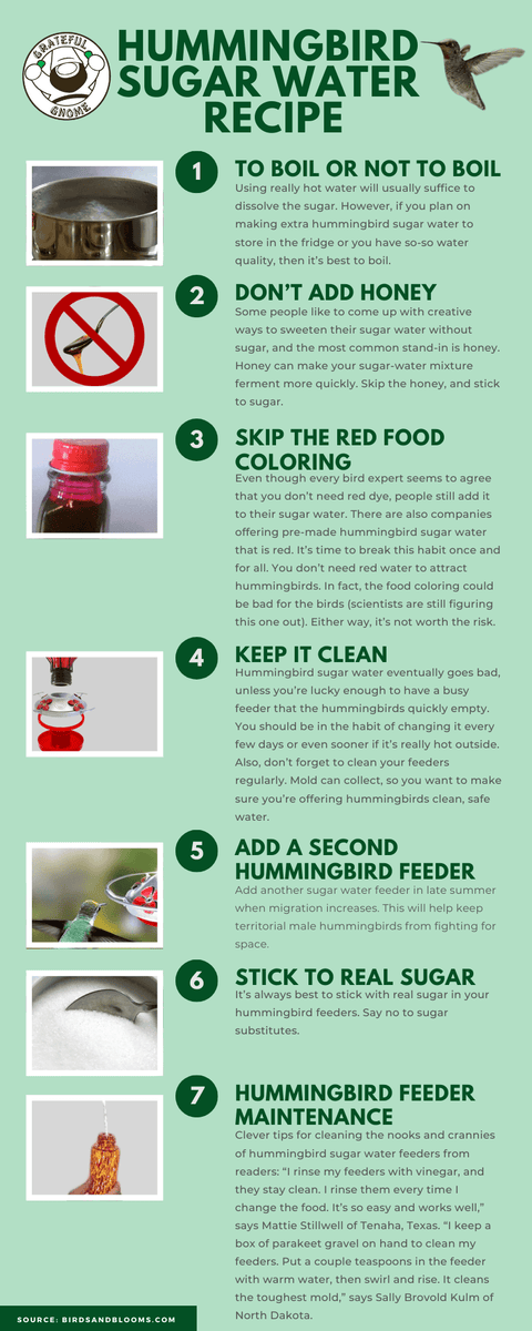 Hummingbird Sugar Water Recipe – Grateful Gnome